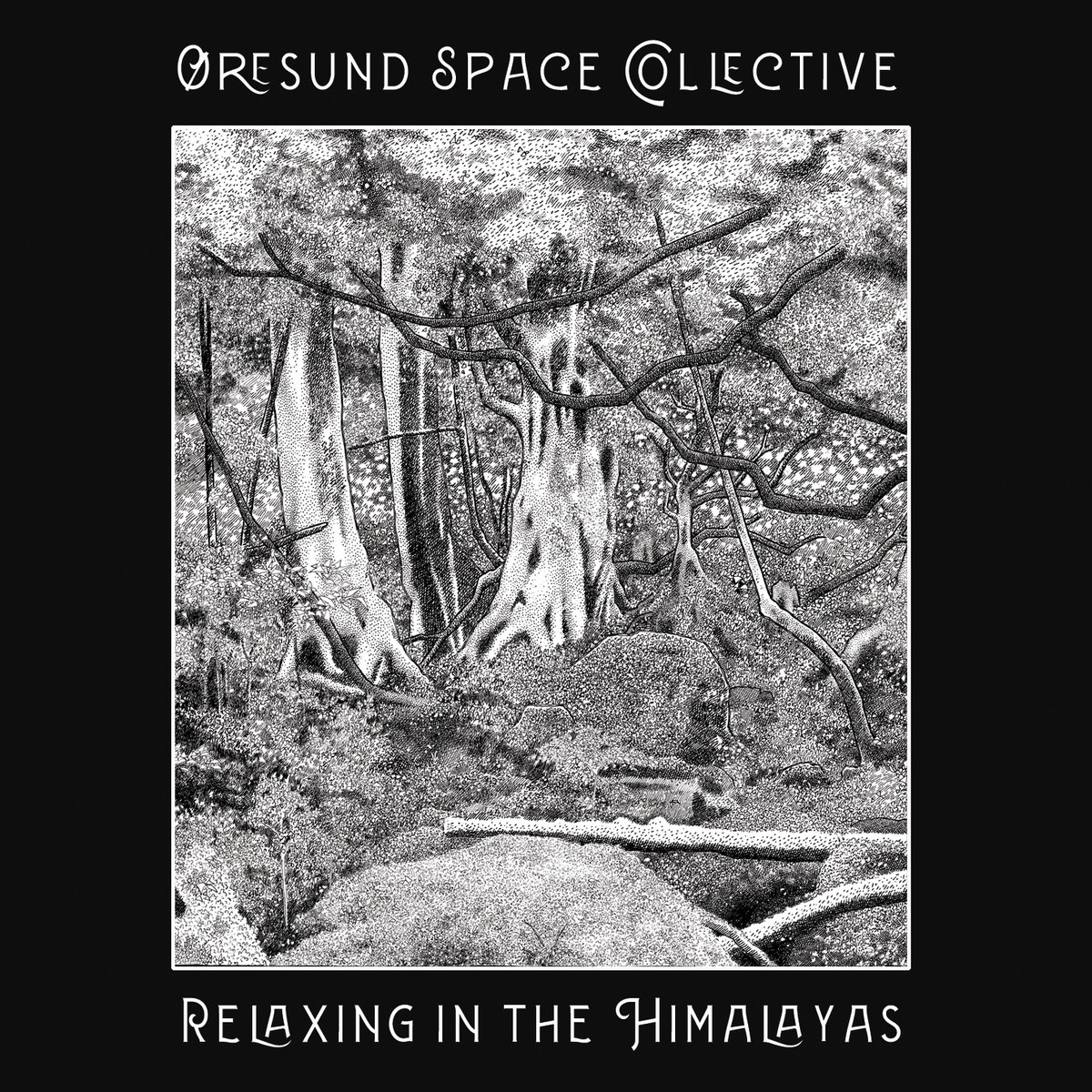 Øresund Space Collective – Relaxing In The Himalayas – The Aural Retentive